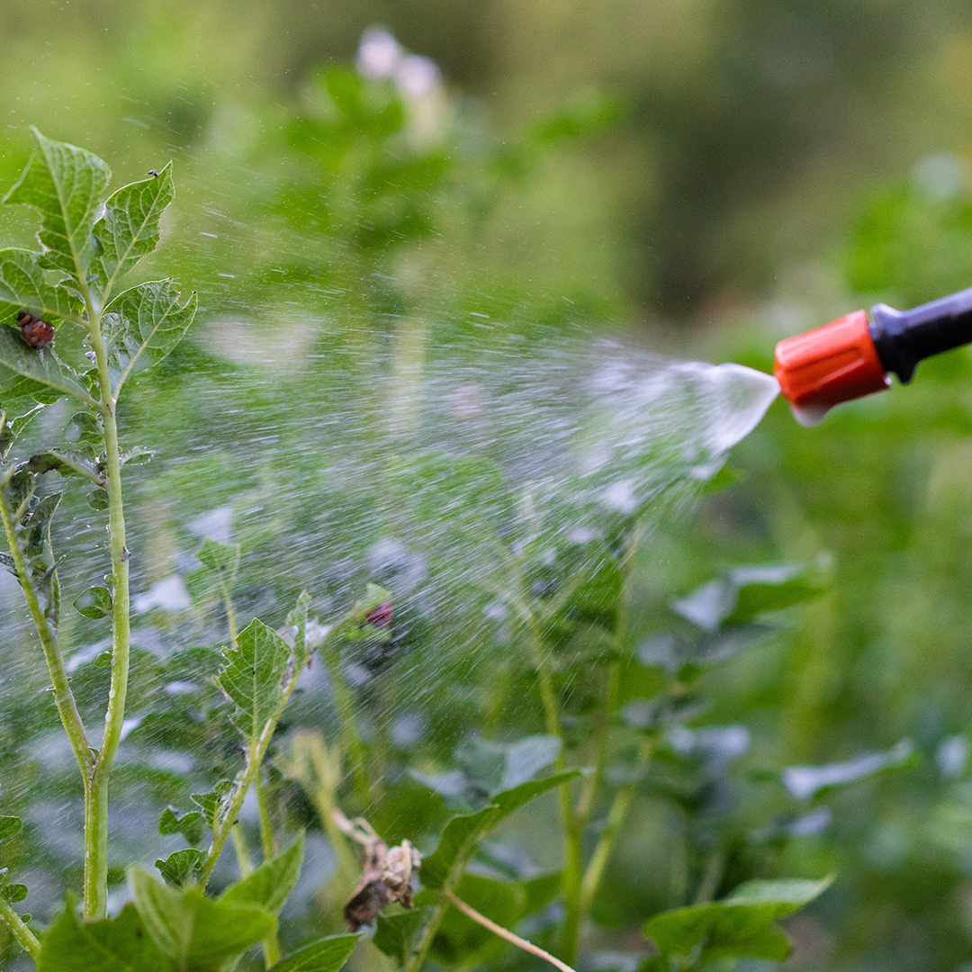 Mankind Pharma Enters Into Agri-Tech Segment With Launch Of Agritech ... Mankind Pharma Enters Into Agri-Tech Segment With Launch Of Agritech ...