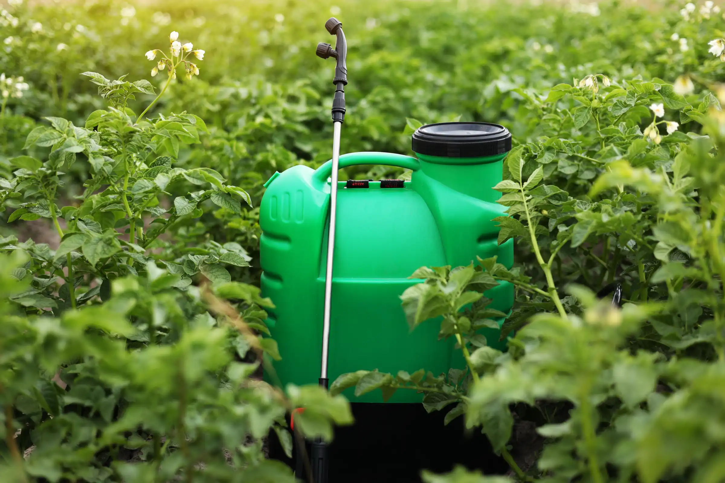 Pre-Emergent Herbicides: How They Work & Why You Need Them