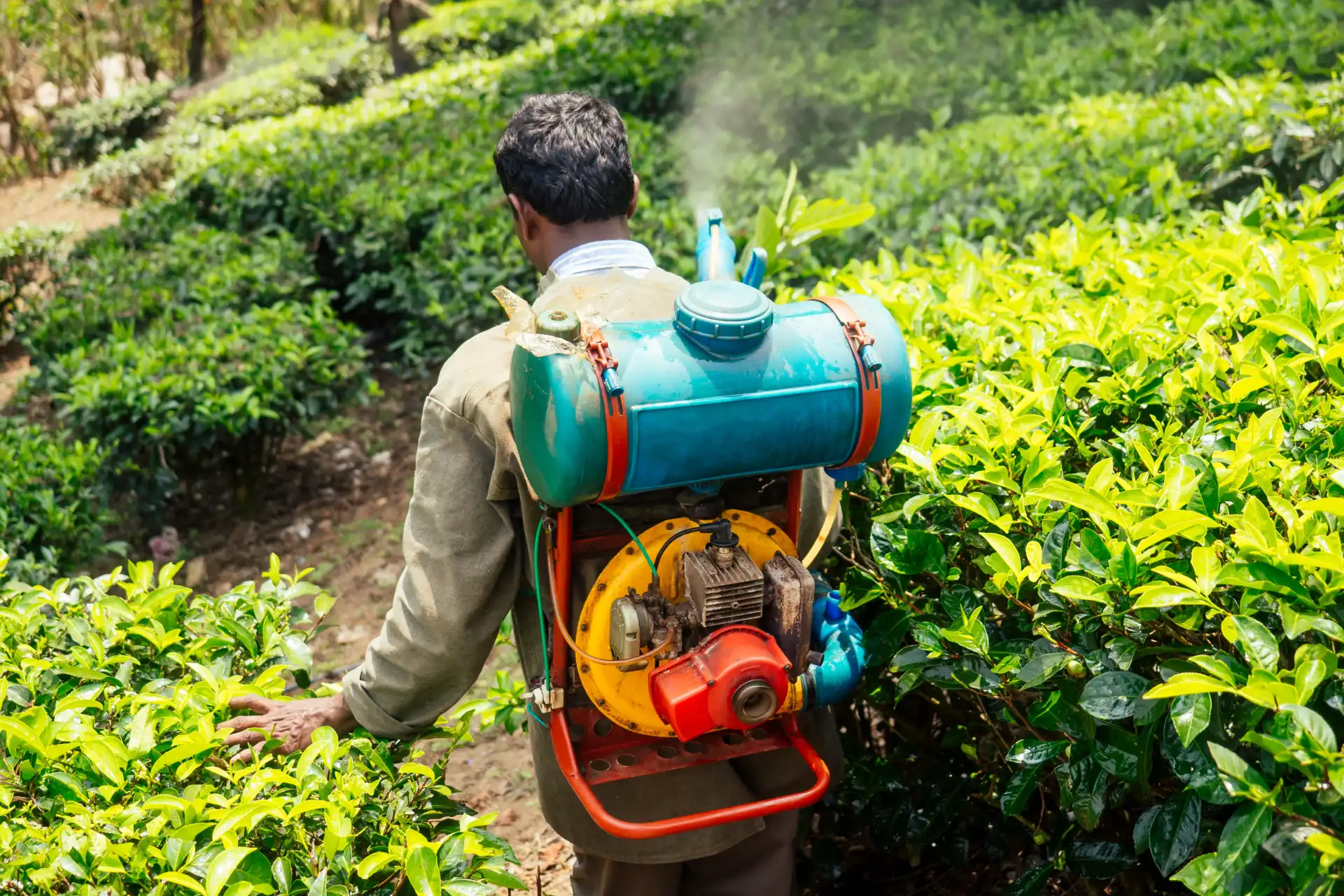 Agricultural Chemicals: What They Are and Why They Matter